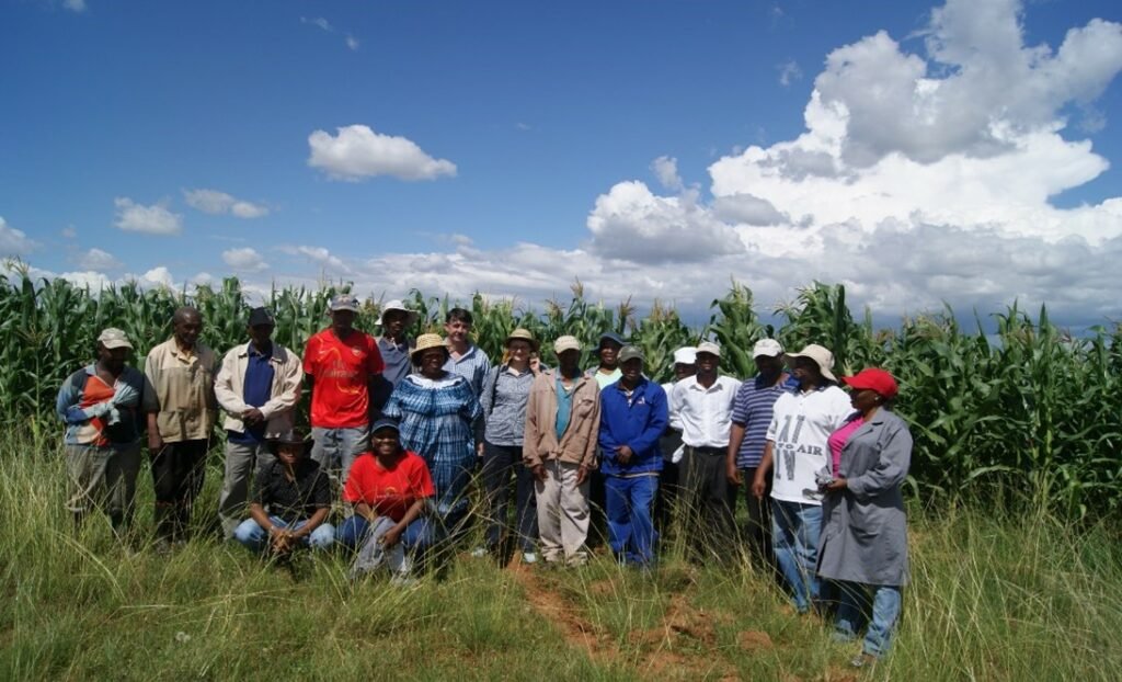 Angronomy - Department of Agriculture Research