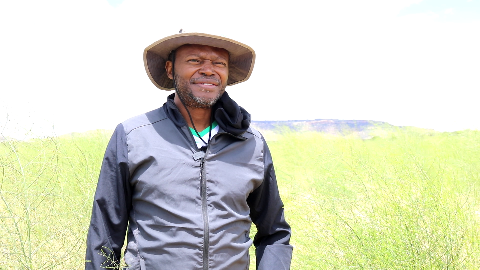 Asparagus for the future, reincarnation of a crop atop the food chain ...